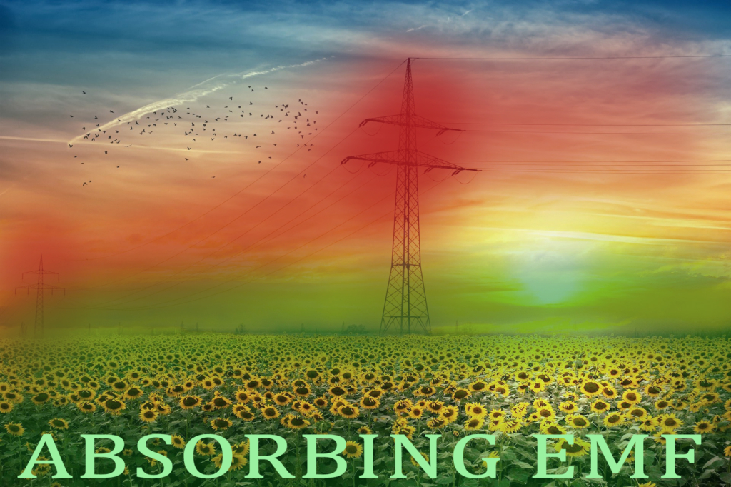 plants against EMF radiation - Nasafes
