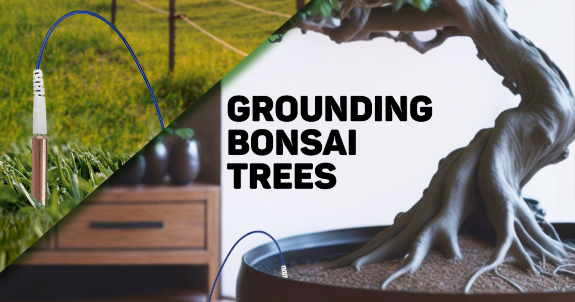 Grounding Yourself - Being Well Grounded to Benefit from Earth's Energy